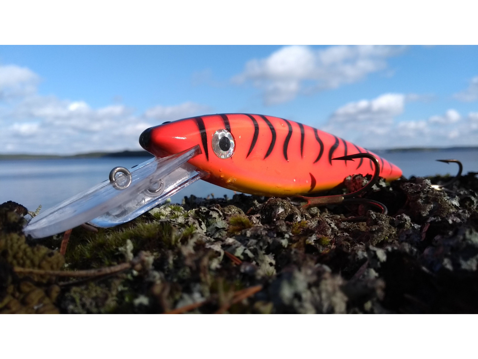 Hot Orange Tiger Painted Deep Runner von Grandma Lures www.koefi.at