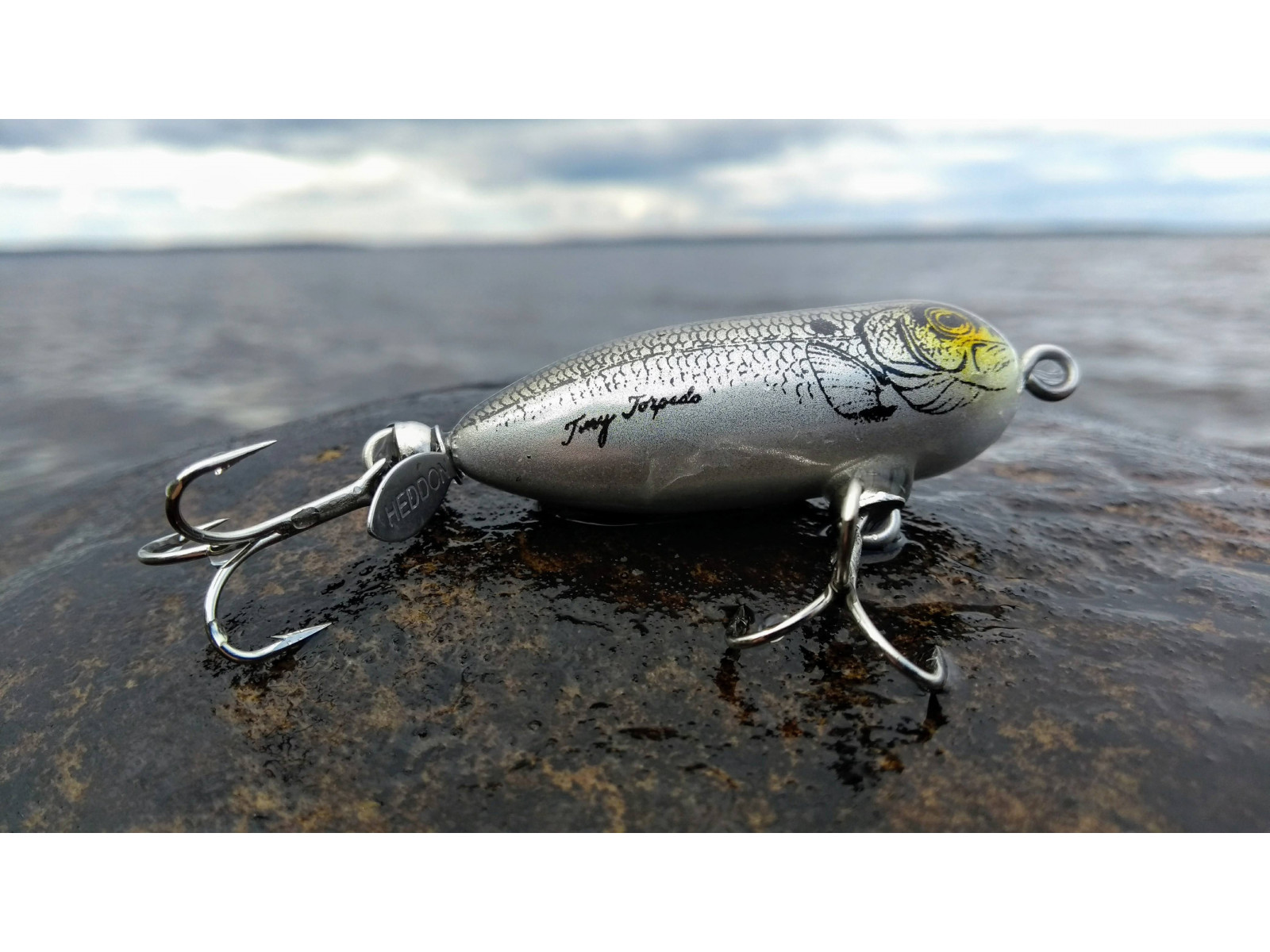 Tiny Torpedo Gold Finish von Heddon Lures www.koefi.at